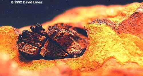 The London Hammer – A 400 million years old intriguing Out-of-place ...
