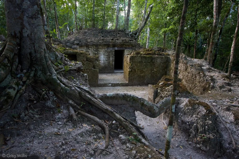 417 ancient Maya cities are found by archaeologists in a lost realm ...