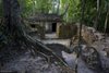 417 ancient Maya cities are found by archaeologists in a lost realm ...