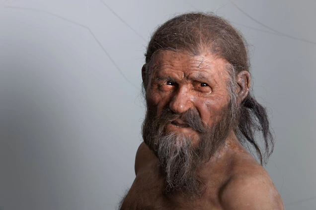 Ötzi The 5 300 Year Old Iceman From The Alps What We Know 31 Years