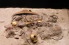 The Varna Man and the Richest Grave of the Fifth Millennium BC