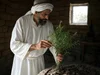 The Archaeology of Ancient Medicine