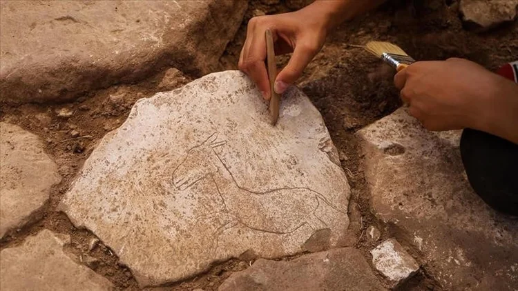 Ancient Donkey Carving Unveiled at Karahan Tepe: A Glimpse into ...