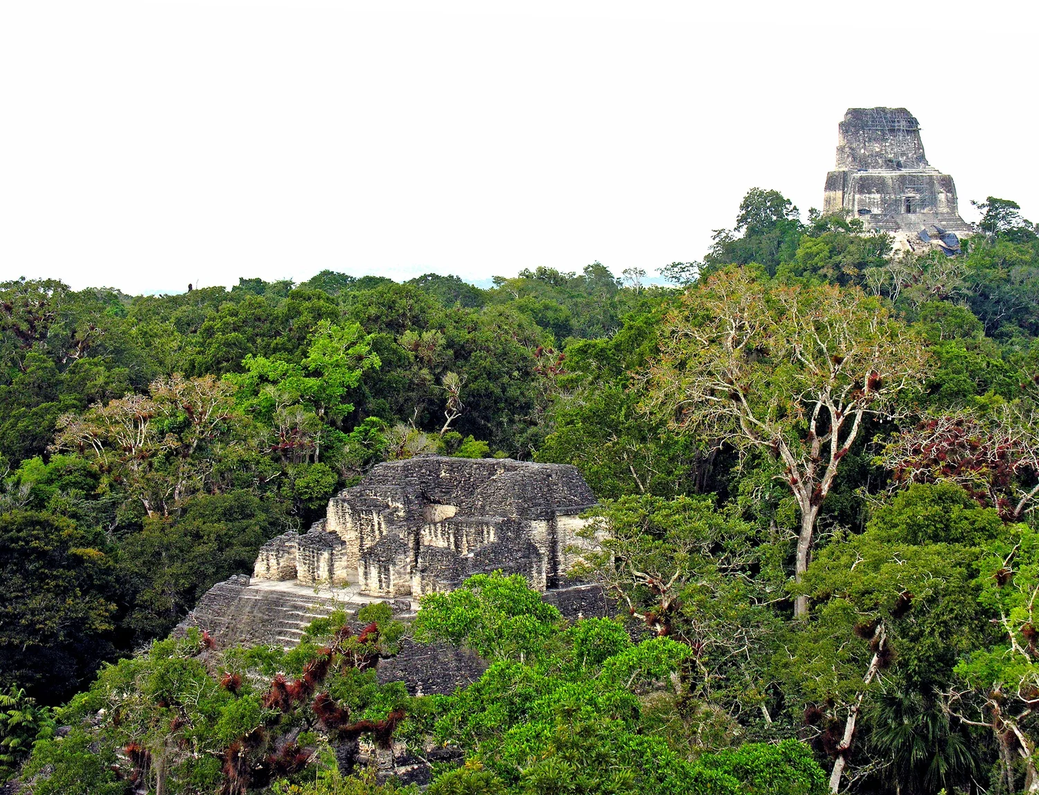 417 ancient Maya cities are found by archaeologists in a lost realm ...