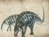 174-Million-Year-Old Sauropod Dinosaur Fossils Discovered In China