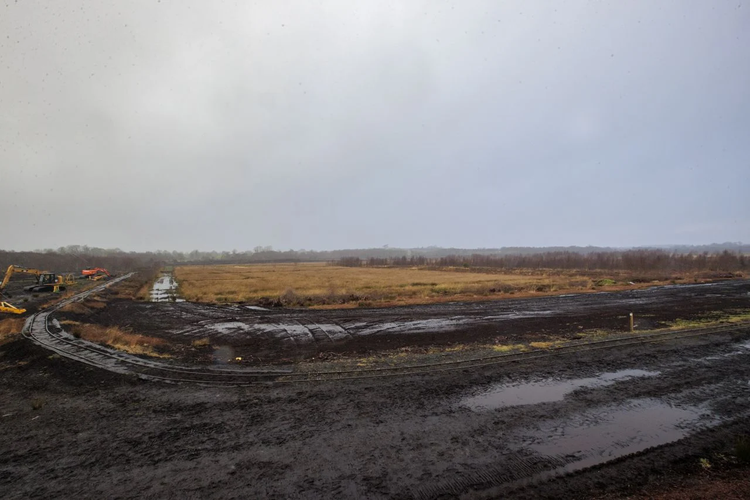2,000-Year-Old Remains Discovered in Northern Ireland Bog: A ...