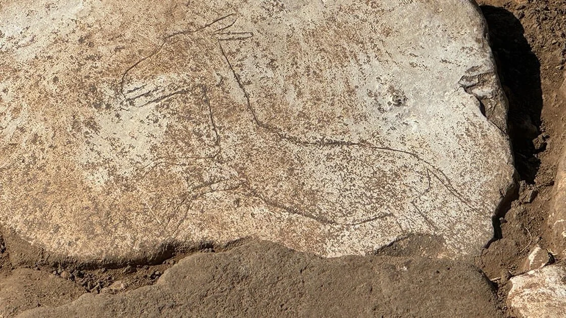 Ancient Donkey Carving Unveiled at Karahan Tepe: A Glimpse into ...