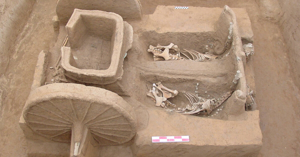 The History of Chinese Oracle Bones