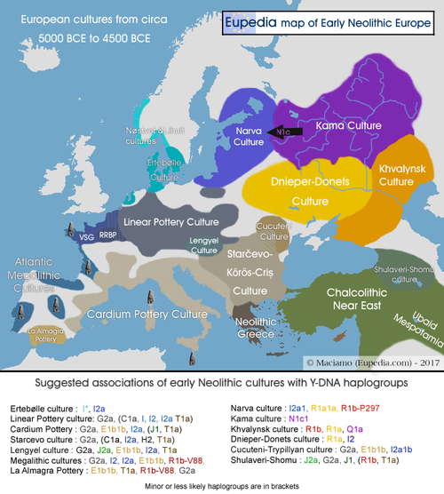 Why do Experts Advocate Revising the Indo-European Linguistic Theory?