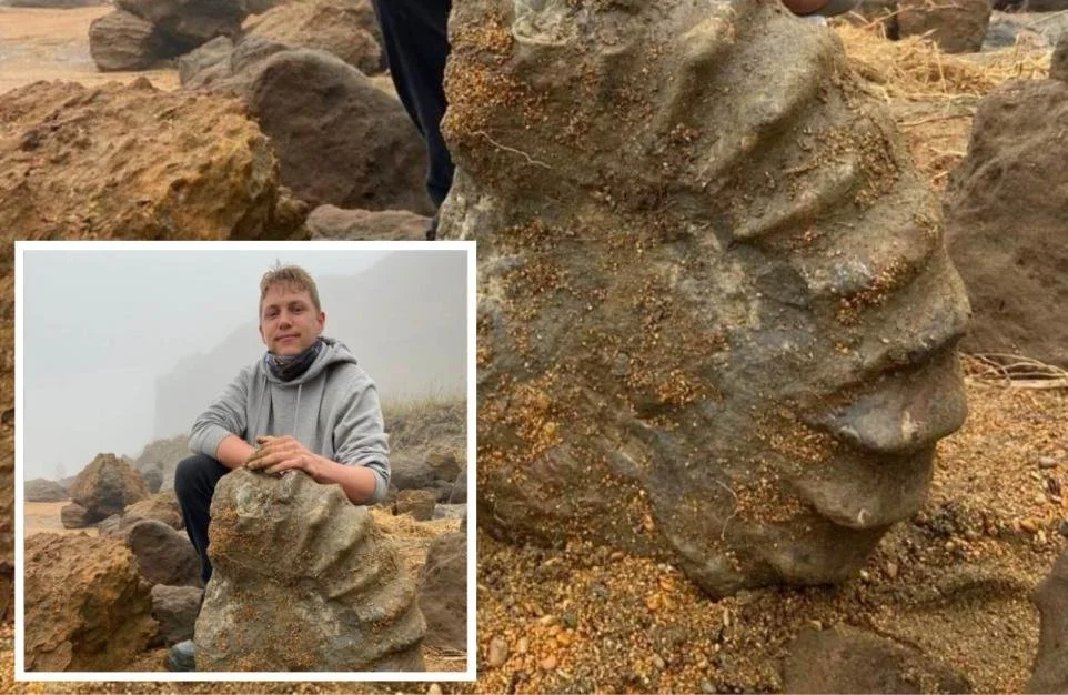 Significant Isle of Wight ammonite fossil found in Chale