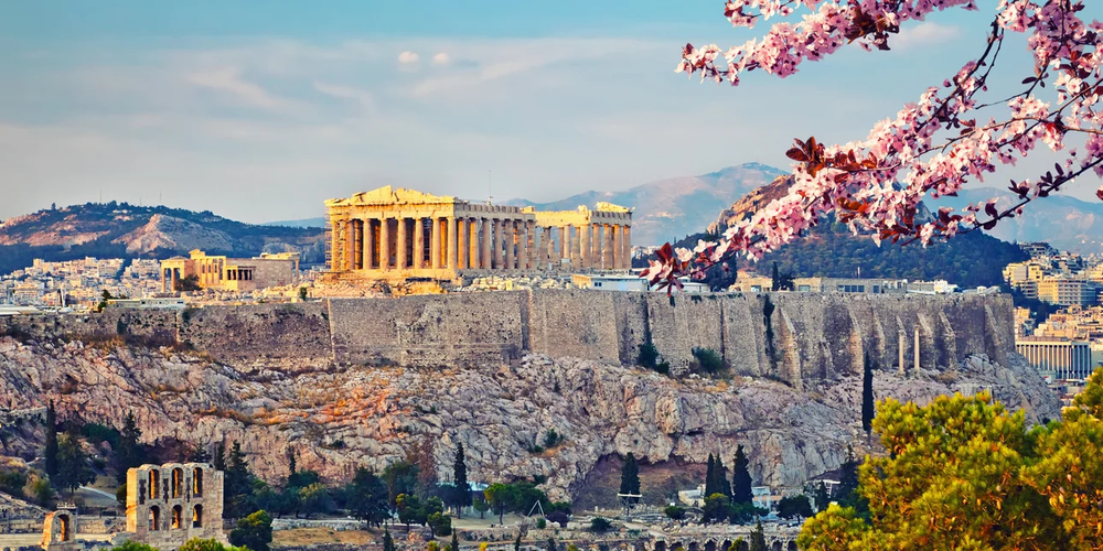 The Rare Flower Found Only on the Acropolis of Athens