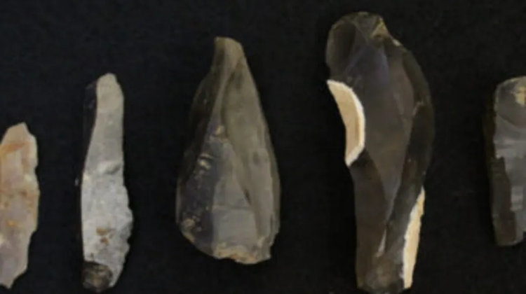 Ancient artifacts dating back to 10,000 BC discovered during road ...