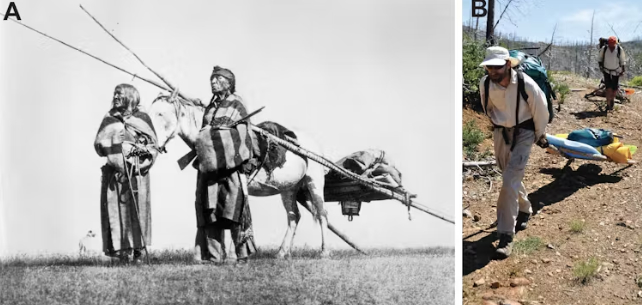 22,000-Year-Old Drag Marks May Be the Oldest Evidence of Handcart Use