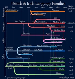 A Brief History of British and Irish Languages