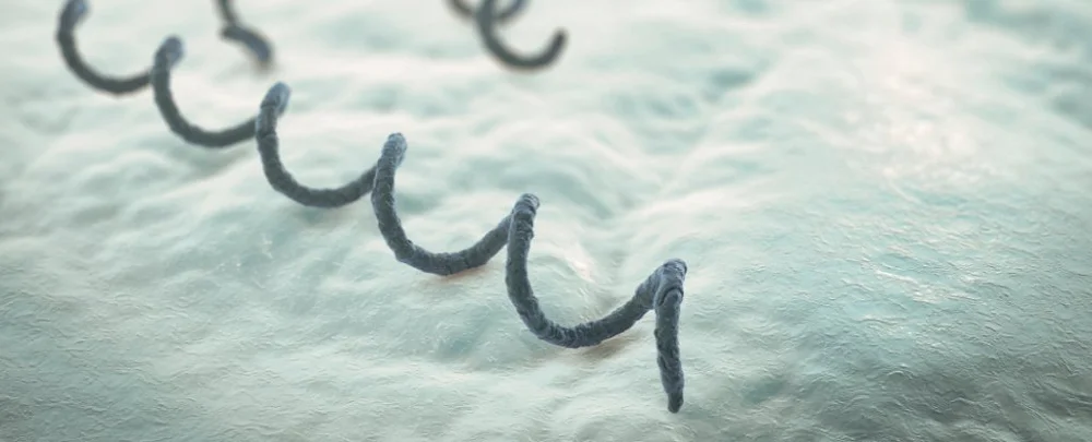 We May Have Completely Misunderstood The European Syphilis Epidemic's ...