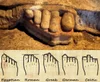 The "Greek Toe" of the Caryatids: Can Your Feet Reveal Your Greek Ancestry?