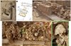 Teen Girl with Cone-Shaped Skull Unearthed in Ancient Iranian Cemetery ...