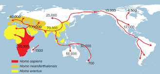 The Migration Patterns of Early Humans: Out of Africa
