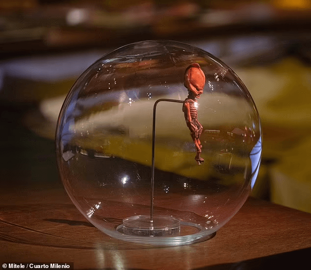 The Enigma of Chile's Atacama Skeleton: Ancient Human or ...