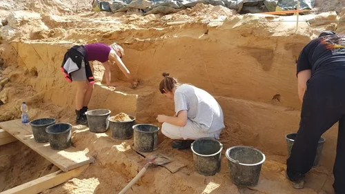Fossilized prehistoric teeth from 9.7 million years ago "could rewrite ...