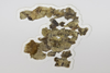 The Dead Sea Scrolls: New Fragments and Digital Preservation