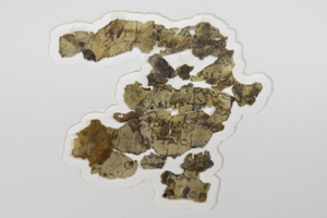 The Dead Sea Scrolls: New Fragments and Digital Preservation