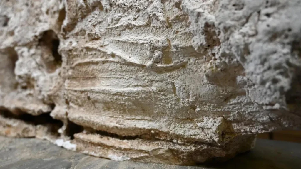 Roman Handprints, Preserved Textiles and Possible DNA Found in Rare ...