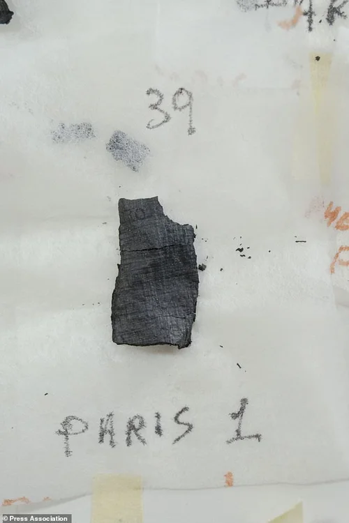 The 2,000-year-old Herculaneum scrolls were found in a villa library ...