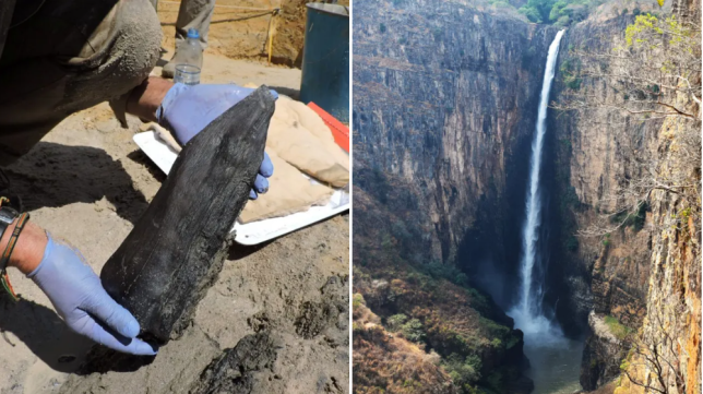 Waterfall discovery changes what we believed about evolution