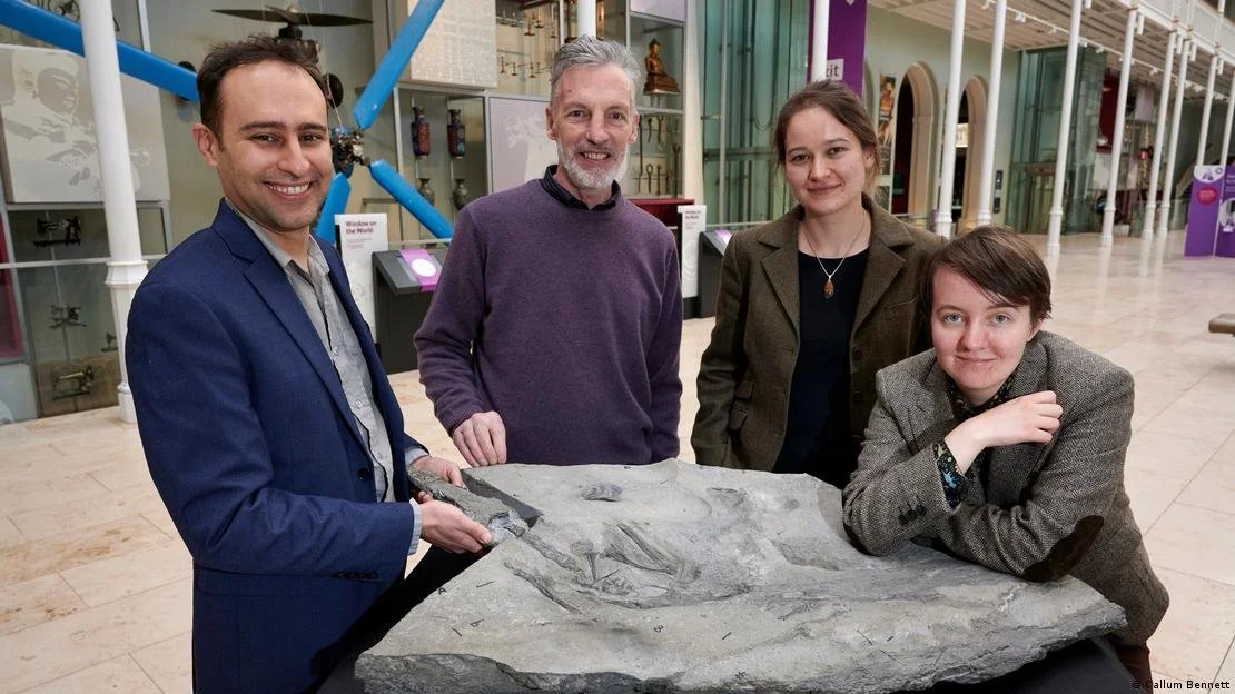 Archaeologists In Scotland Discover The Worlds Largest Jurassic Pterosaur Fossil