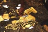 Stunning Find: Panama Unearths Significant Tomb Brimming with Gold and ...