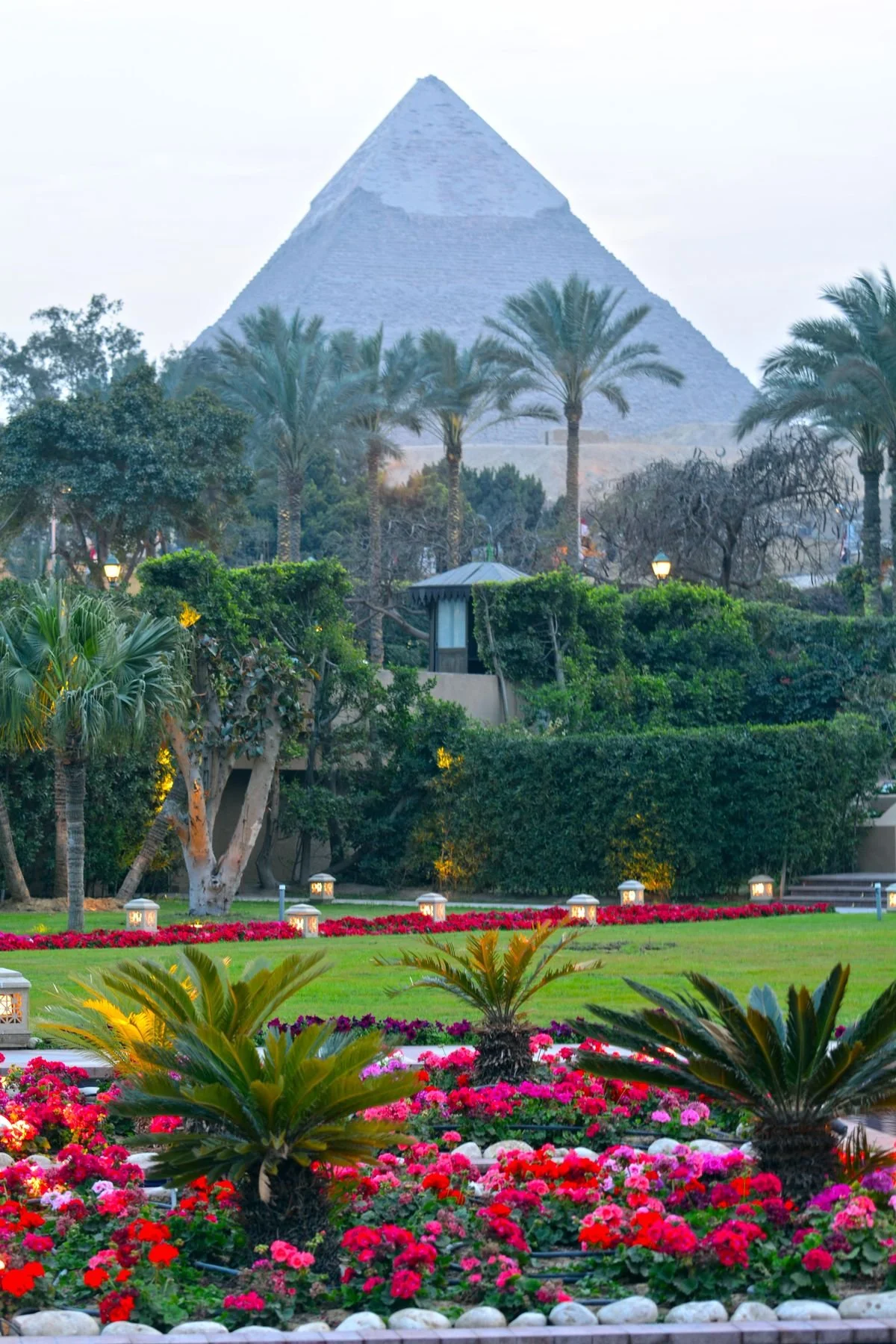 The Blooming Plants of Ancient Civilizations in the Gardens of Egypt ...