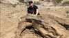 University Student Discovers Giant 65-Million-Year-Old Triceratops ...