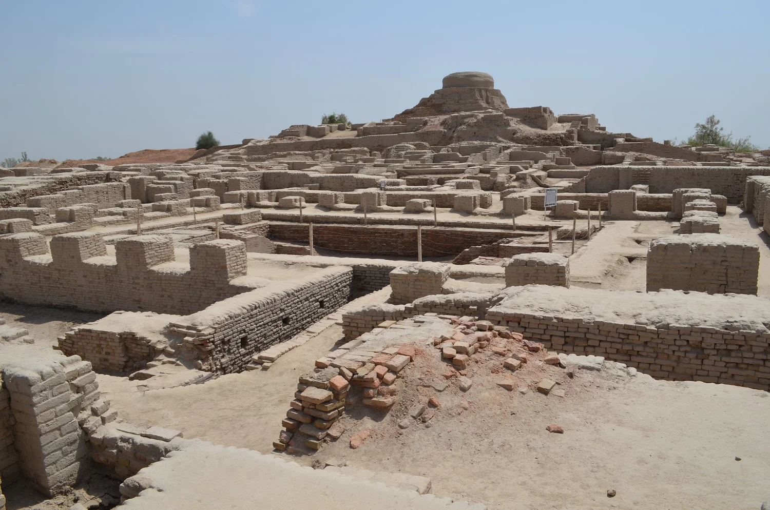 The mystery of the collapse of the Indus Valley Civilization has now ...