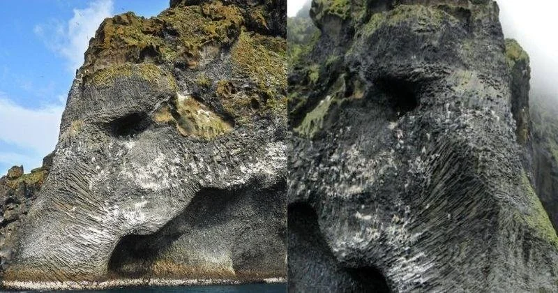 The Enchanting World of Animal-Shaped Rocks: A Journey Through Nature's ...