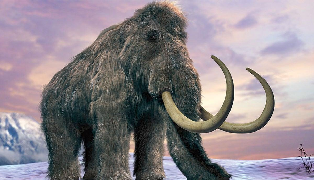 De-extinction and Archaeology: Should We Bring Back the Woolly Mammoth?