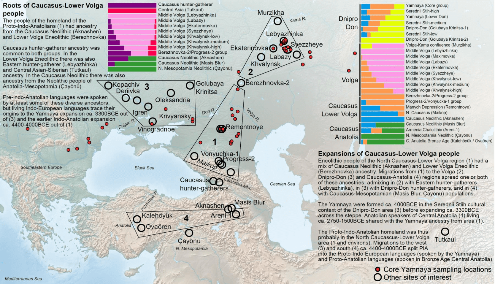 New Insights into the Roots of the Indo-Europeans: How the Caucasus ...