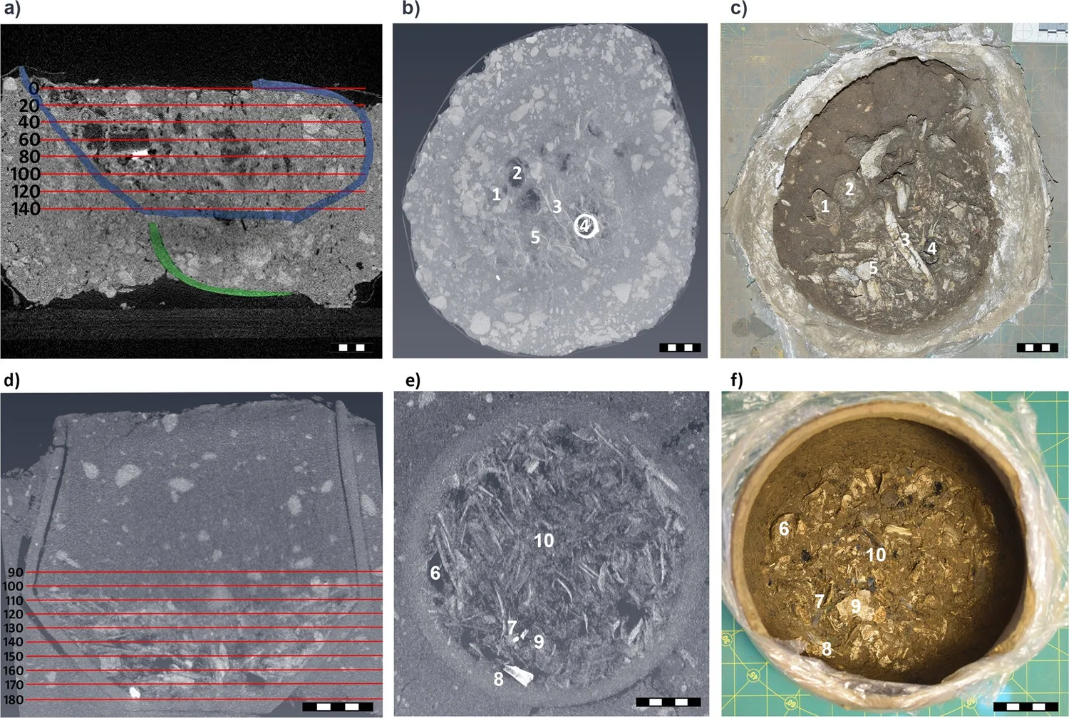 Details of Bronze Age cremation remains are revealed through various ...