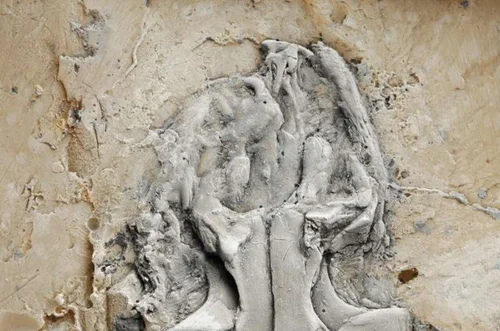 World's earliest python identified from 47 million-year-old fossil remains