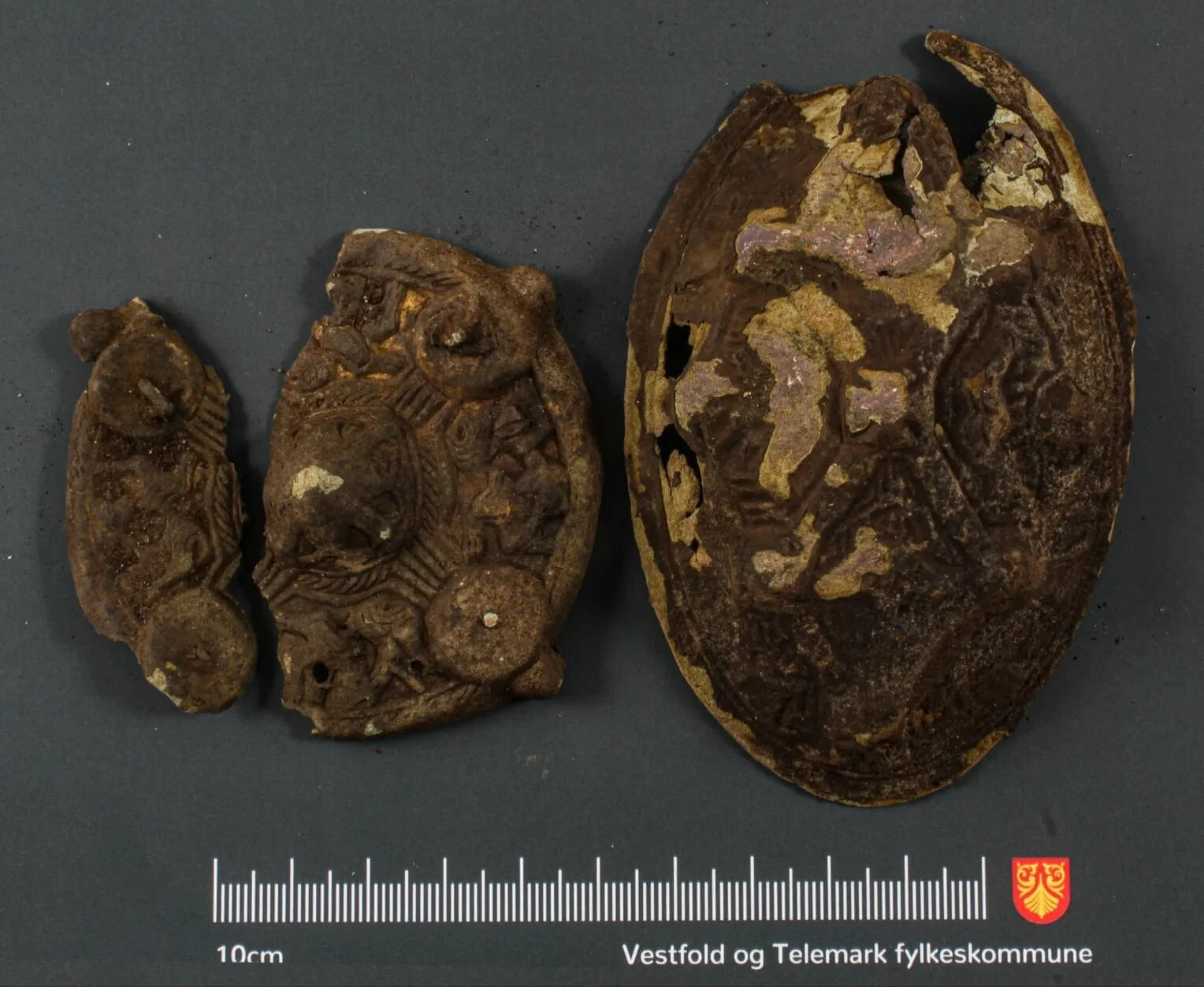 Viking Treasure Unearthed in a Norwegian Family's Backyard