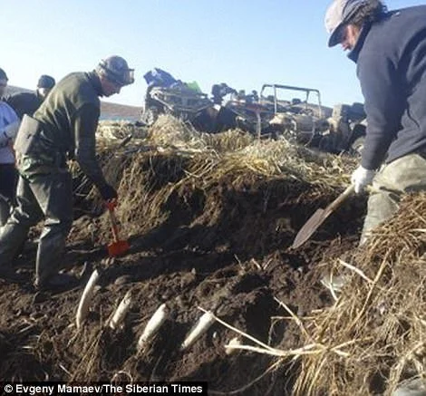 The headless skeleton of a 20 ft long sea monster that went extinct in ...