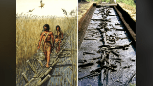 The Sweet Track: Unveiling a 5830-Year-Old Neolithic Engineering Marvel