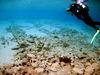 The Αncient Underwater 5,000- Year-Old Sunken City in Greece is ...
