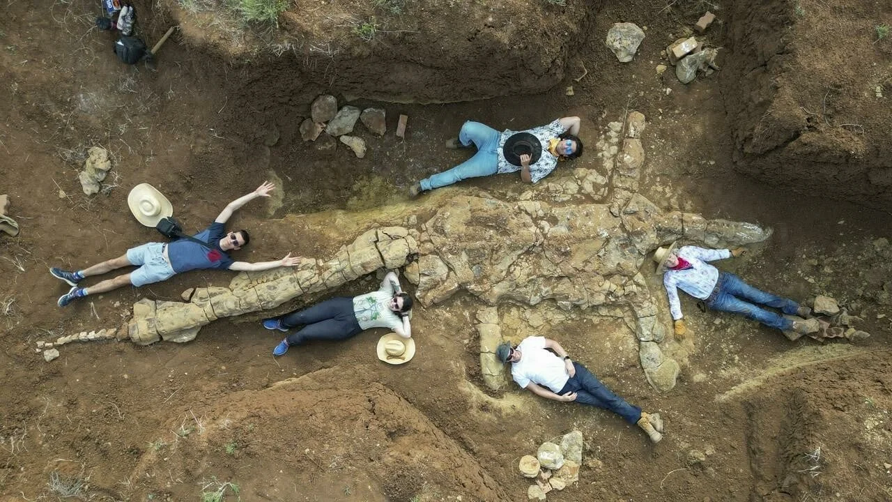100 million-year-old marine reptile skeleton discovered - May 'unlock ...
