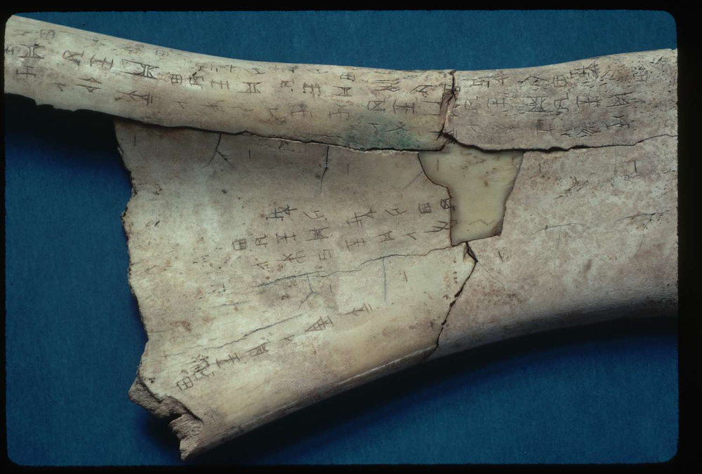 The Oracle Bones of Shang China