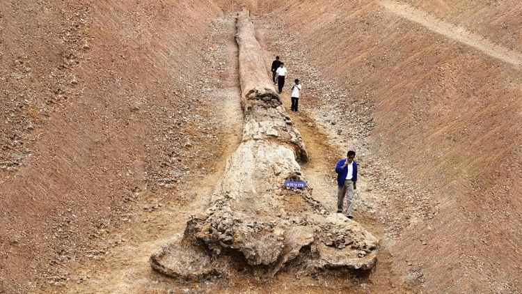 12 Most Incredible Archaeological Finds