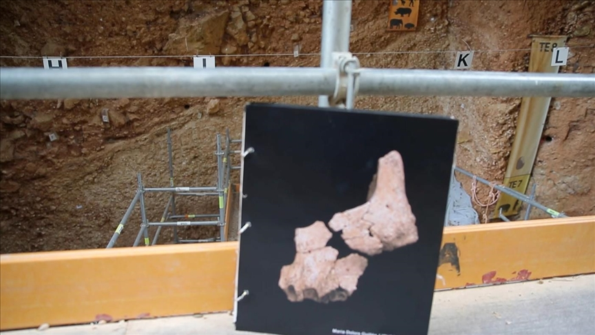 1.4M-year-old bones excavated in northern Spain could rewrite human ...