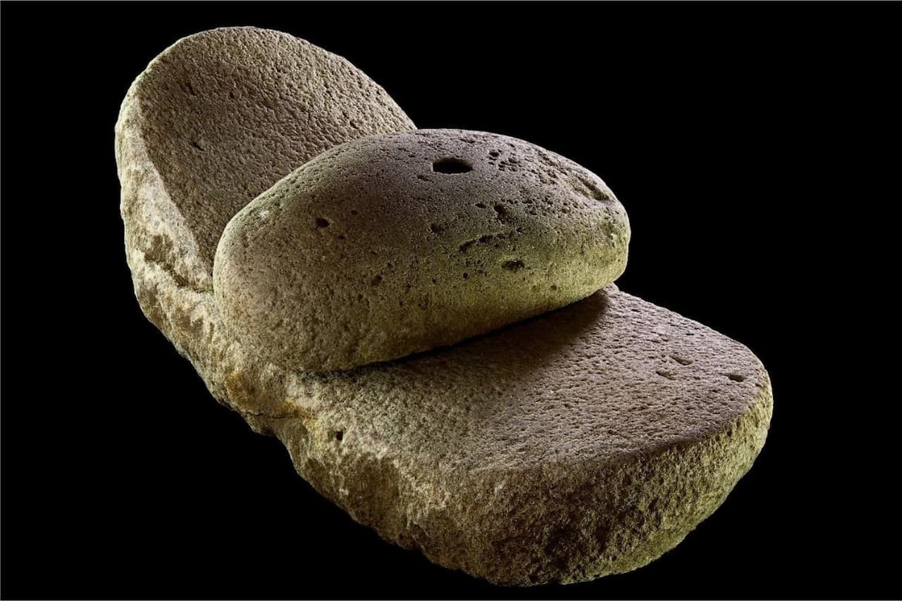 Archaeologists Uncover Why Early European Farmers Ritually Buried Their ...