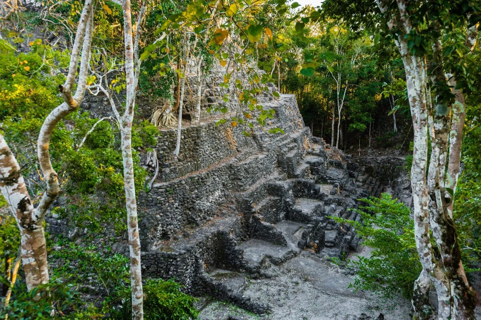 10+1 Maya Pyramids Hidden in the Yucatan Tropical Rainforests
