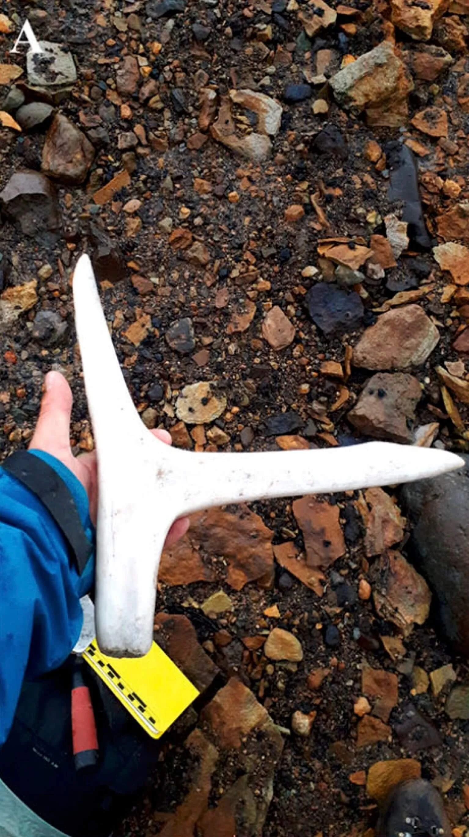 Frozen in Time: The Remarkable Discovery of a 7,000-Year-Old Trove in ...